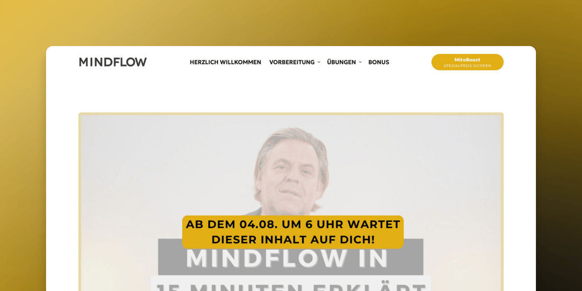 MindFlow in 15min Erklärt